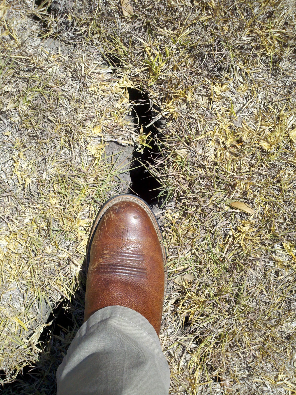 These cracks go down several feet in a circular pattern. The city has ...