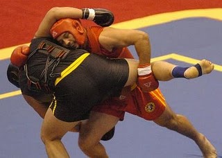 Sanda One Chile: ¿Qué es San Da?