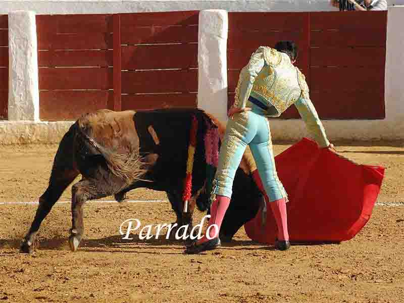 ambitotoros: Alejandro Conquero en Navas de San Juan visto por el ...