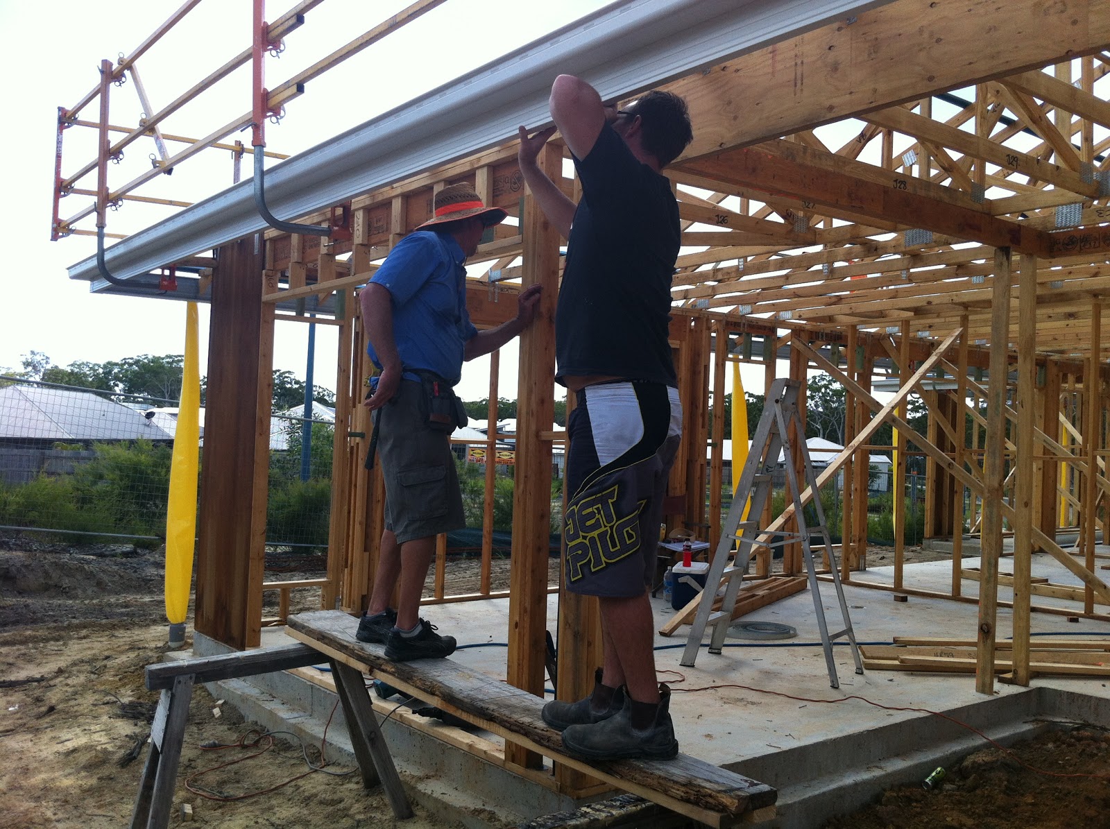 Going Coastal: Noggin & Roof ready