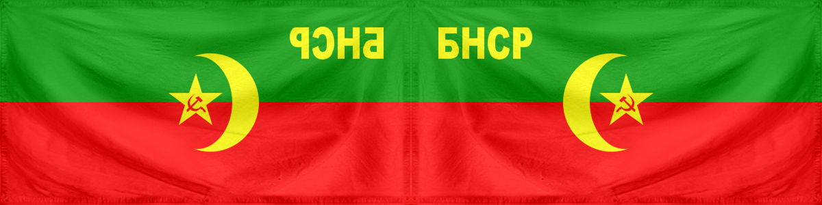 Major Thomas Foolery's War Room: Flags for Chinese Warlord/Back of ...