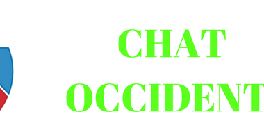 Anotate y Construye: CHAT REDI OCCIDENTAL