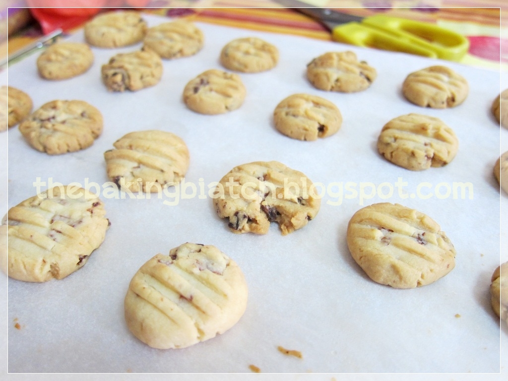 The Baking Biatch || by Cynthia Lim: Bah Kwa Cookies