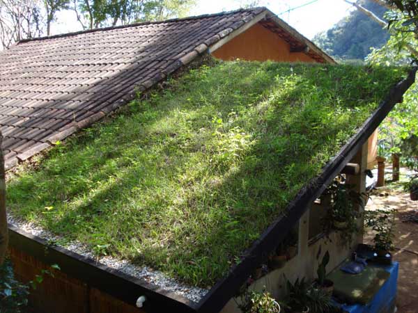 RW PAISAGISMO: KNOW-HOW: COMO PLANEJAR UM TETO VERDE