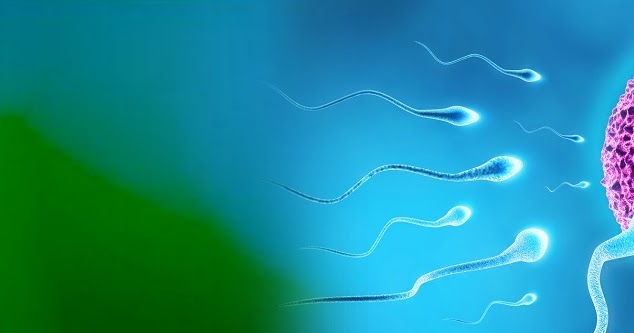 Mild To Severe Oligospermia Treatment, IVF Clinics : SWCIC