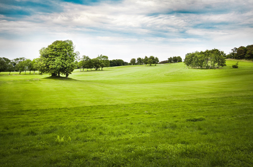 PHOTOGRAPHY101: Daytime Landscape Photography Tips