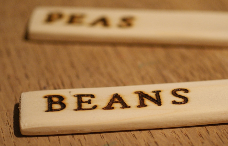 The Shed And Beyond: Handmade row markers ... ...