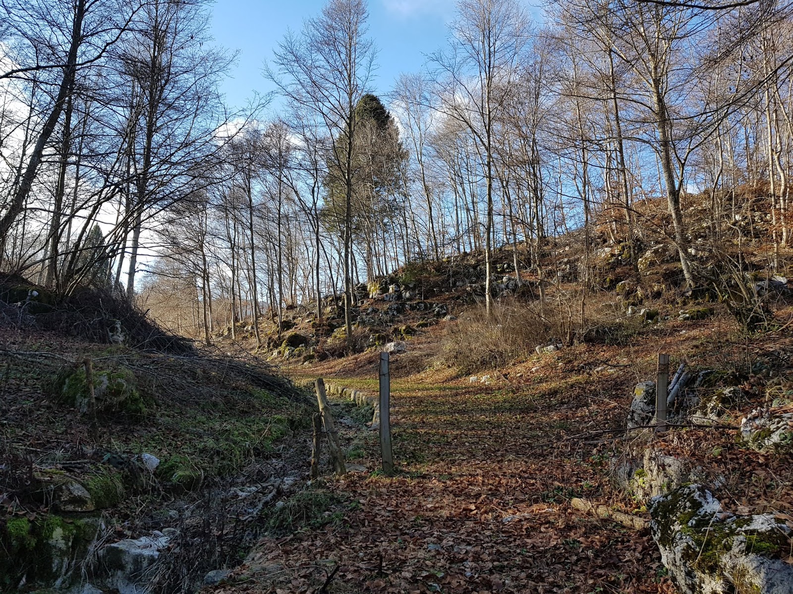 Su strade e sentieri: COL D'ASTIAGO (m. 1.241) - SENTIERO DEL VU - Val ...