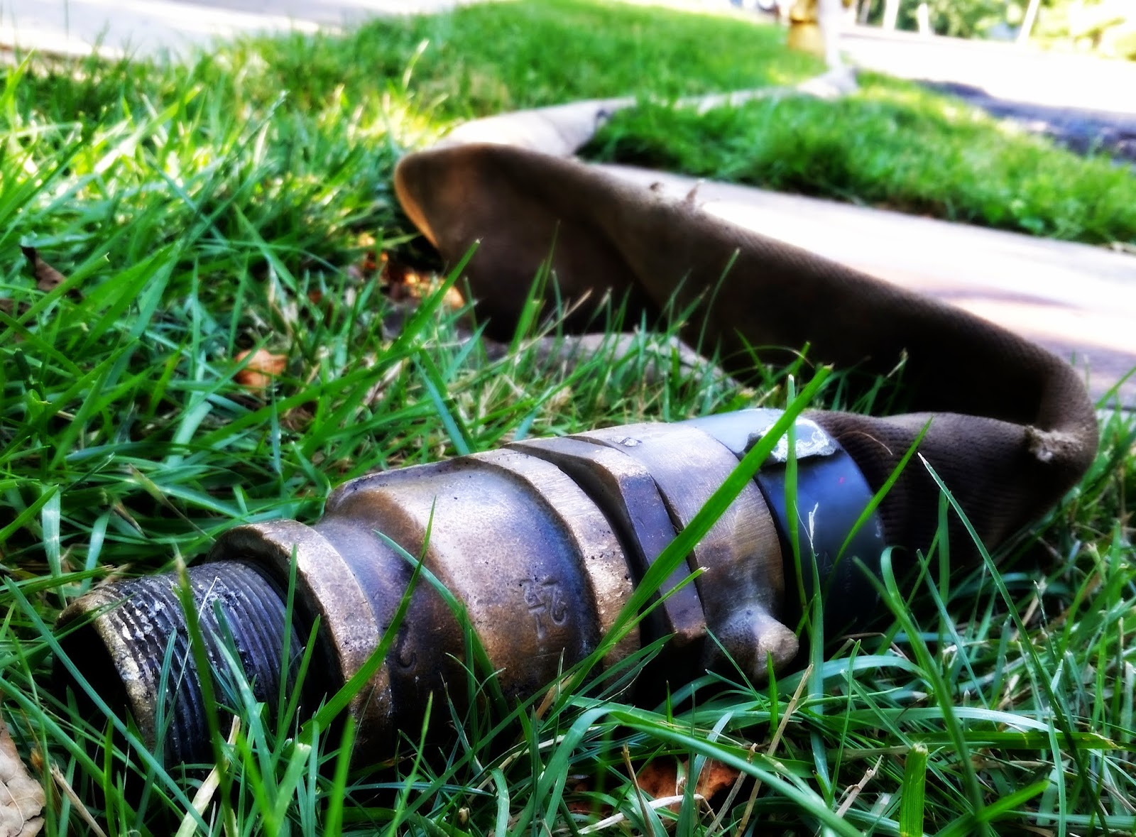 Ben's Journal: Snaking Through The Grass