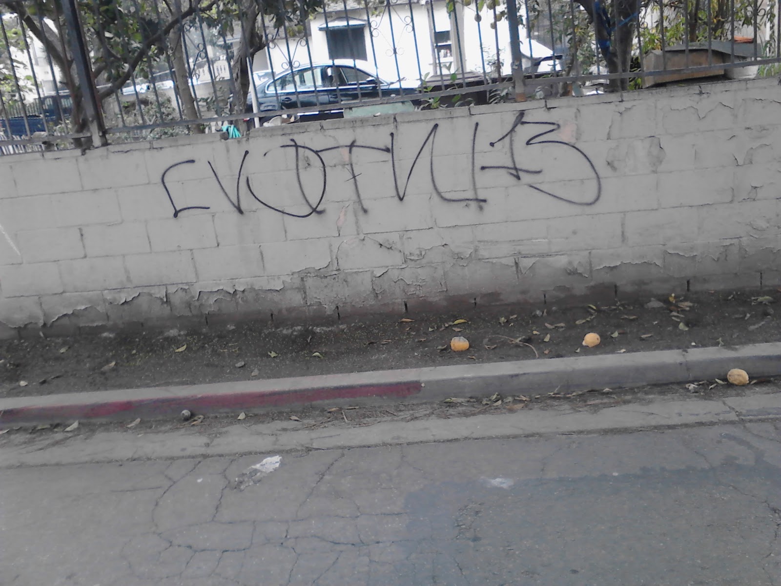 sureno 13 gangs graffiti: Compton varrio DANGEROUS TINY WICKED 13 ...