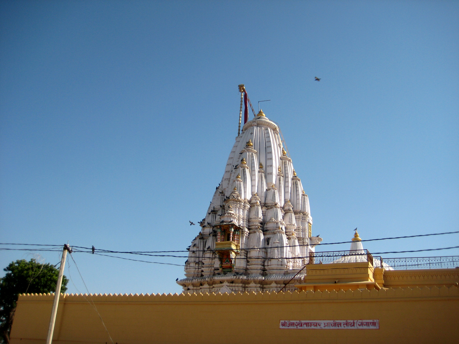 Explore Jain - Personas, Temples, Worship, Tirths: Jain Yatra - Jodhpur ...