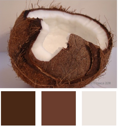 Color and The Queen City: Coconut Color