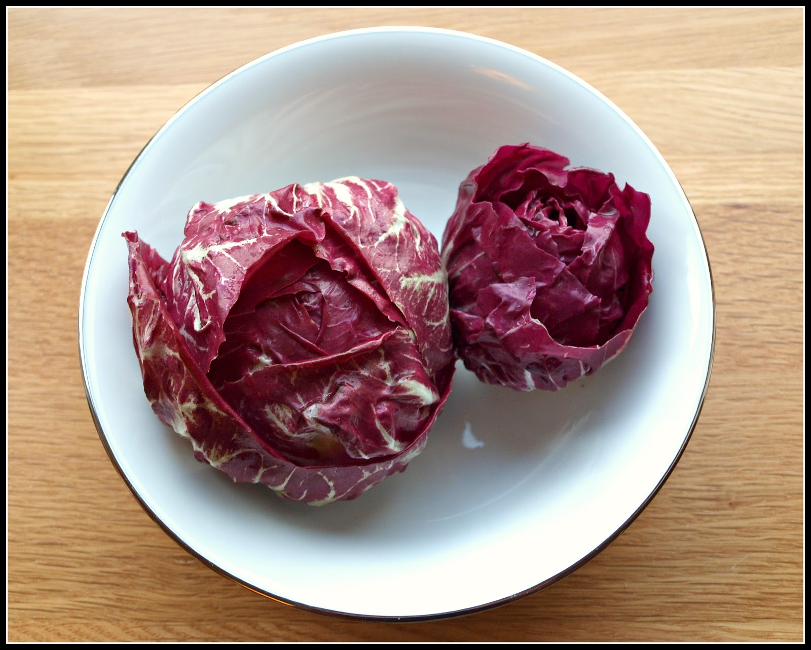 Mark's Veg Plot: My Christmas Roses