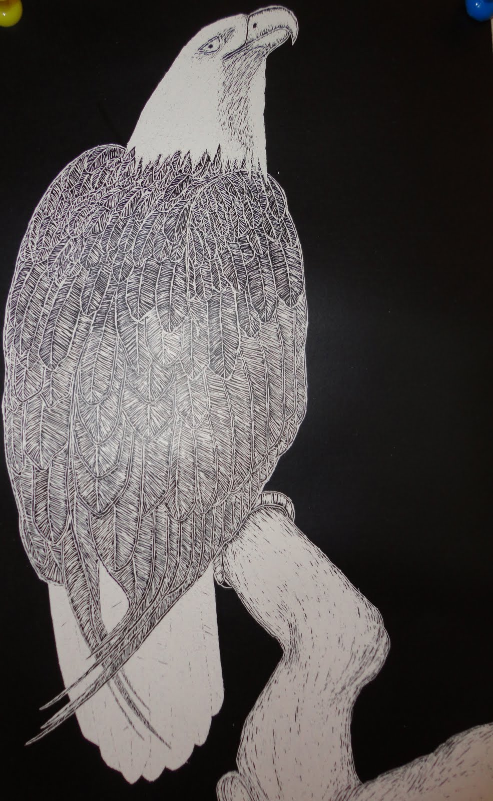 Art Mash: SCRATCHBOARD