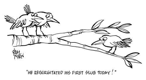 Roy Nixon's cartoon blog: Regurgitation
