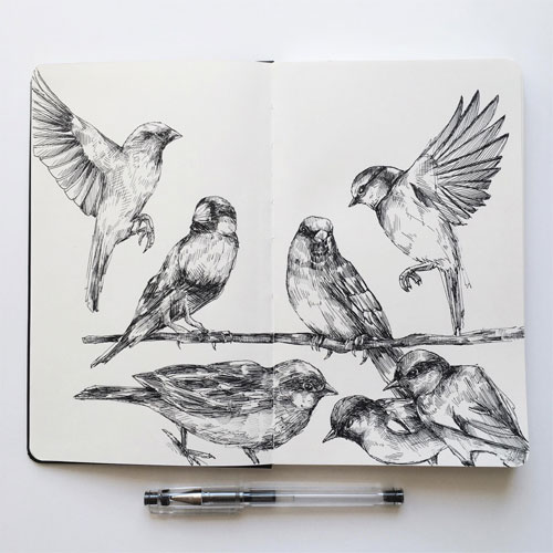 My Owl Barn: Drawings by Alfred Basha