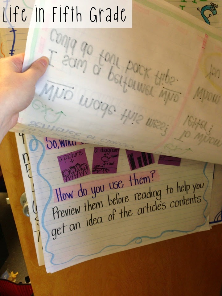 Life In First Grade How To Store Anchor Charts life-in-first-grade-how-to-store-anchor-charts