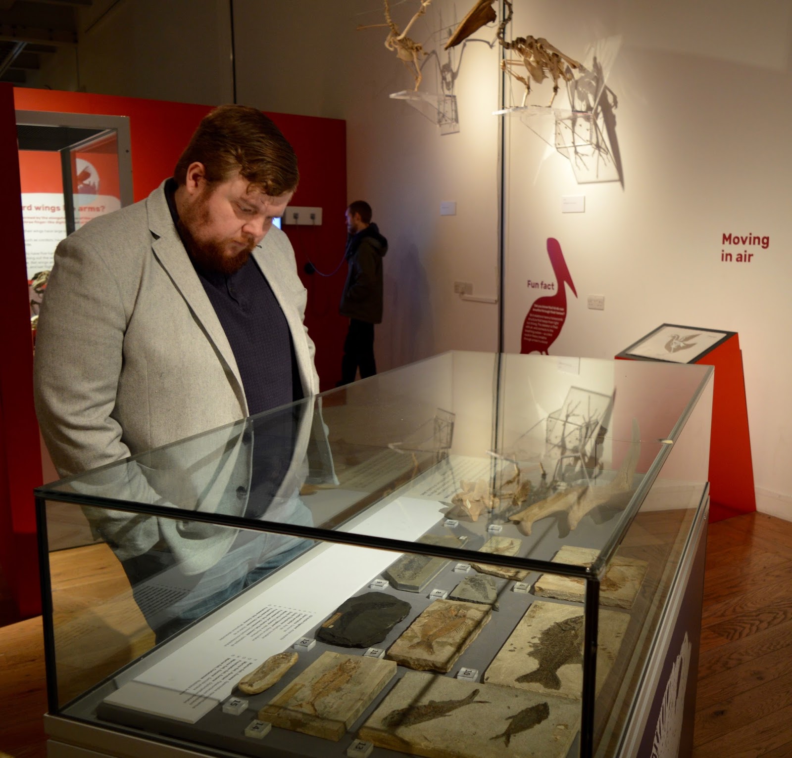 A FREE Day Out | Easter Holiday Activities & Bones Exhibition at ...