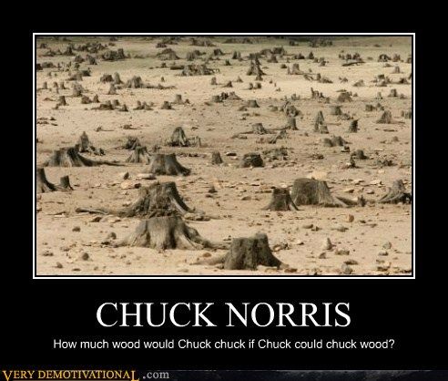 Chuck Show Memes