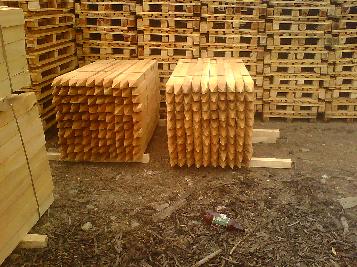 Viata la tara: Araci pentru legume