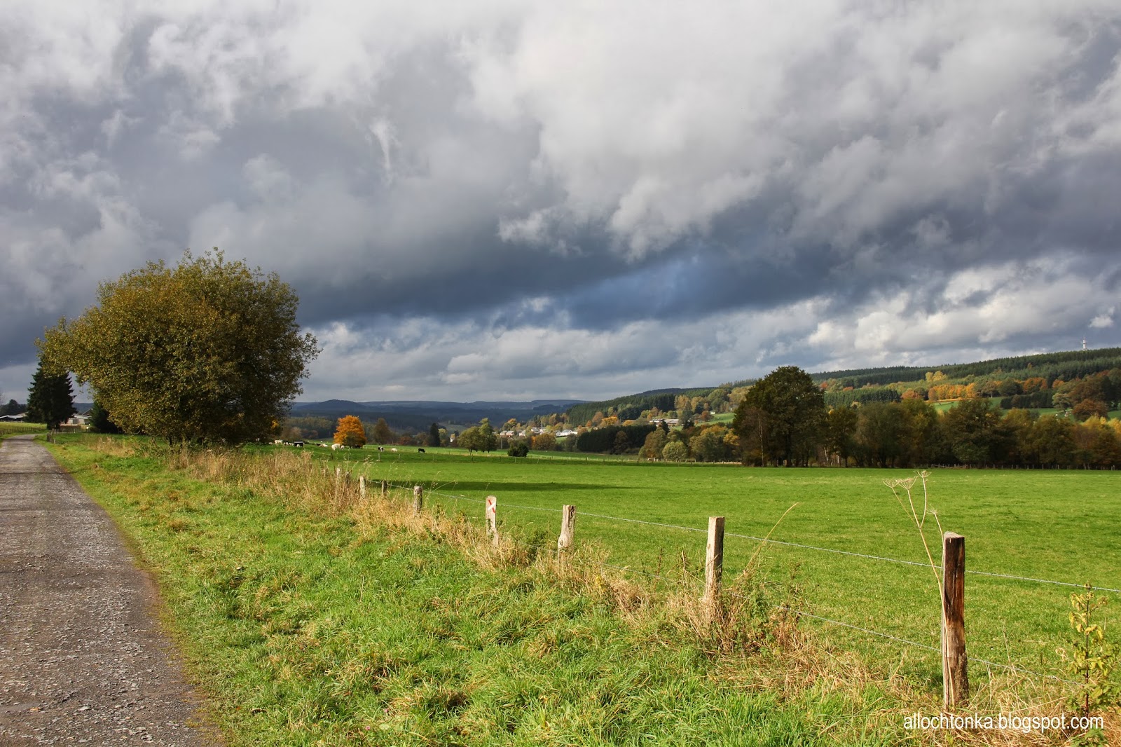 Allochtonka - życie ekspatki w Holandii: Złota jesień w Ardenach