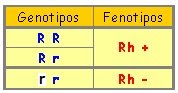 Biología y Geología 4º ESO: Herencia de los grupos sanguíneos