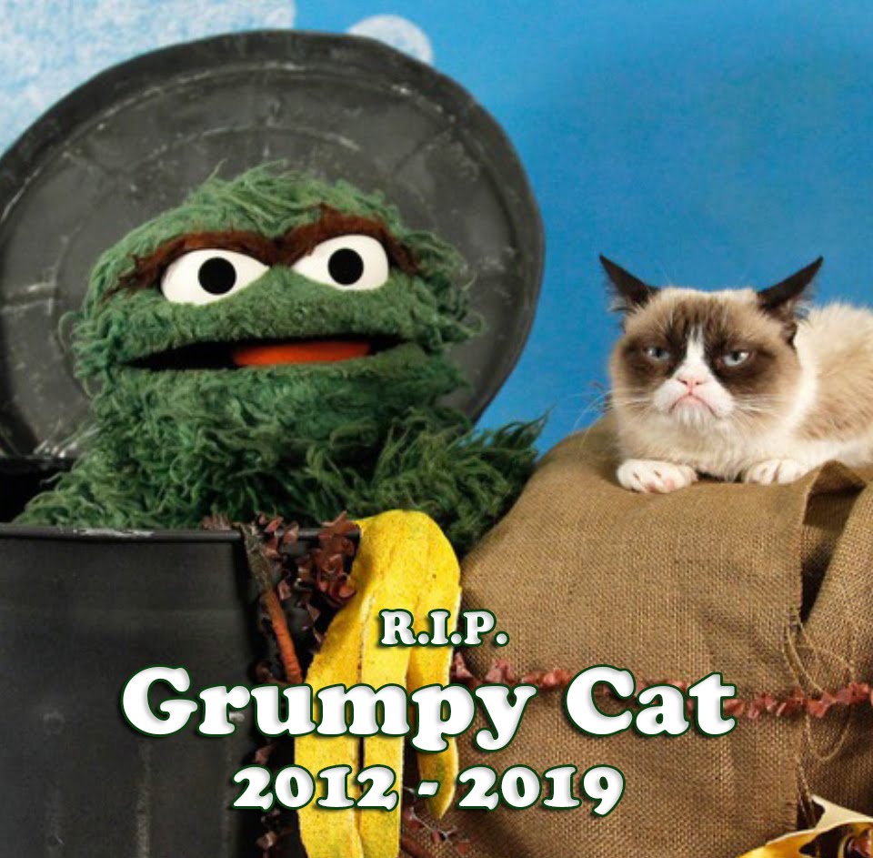 Muppet Stuff: RIP Grumpy Cat!