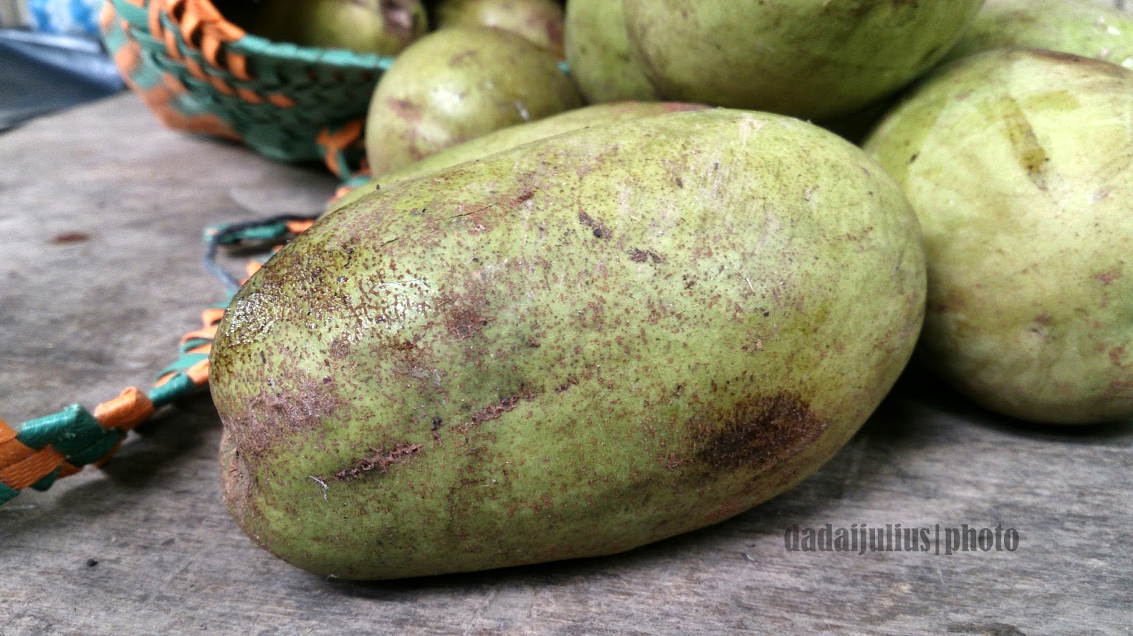 Ongzi's SecretGarden: Mangifera rufocostata - belunu