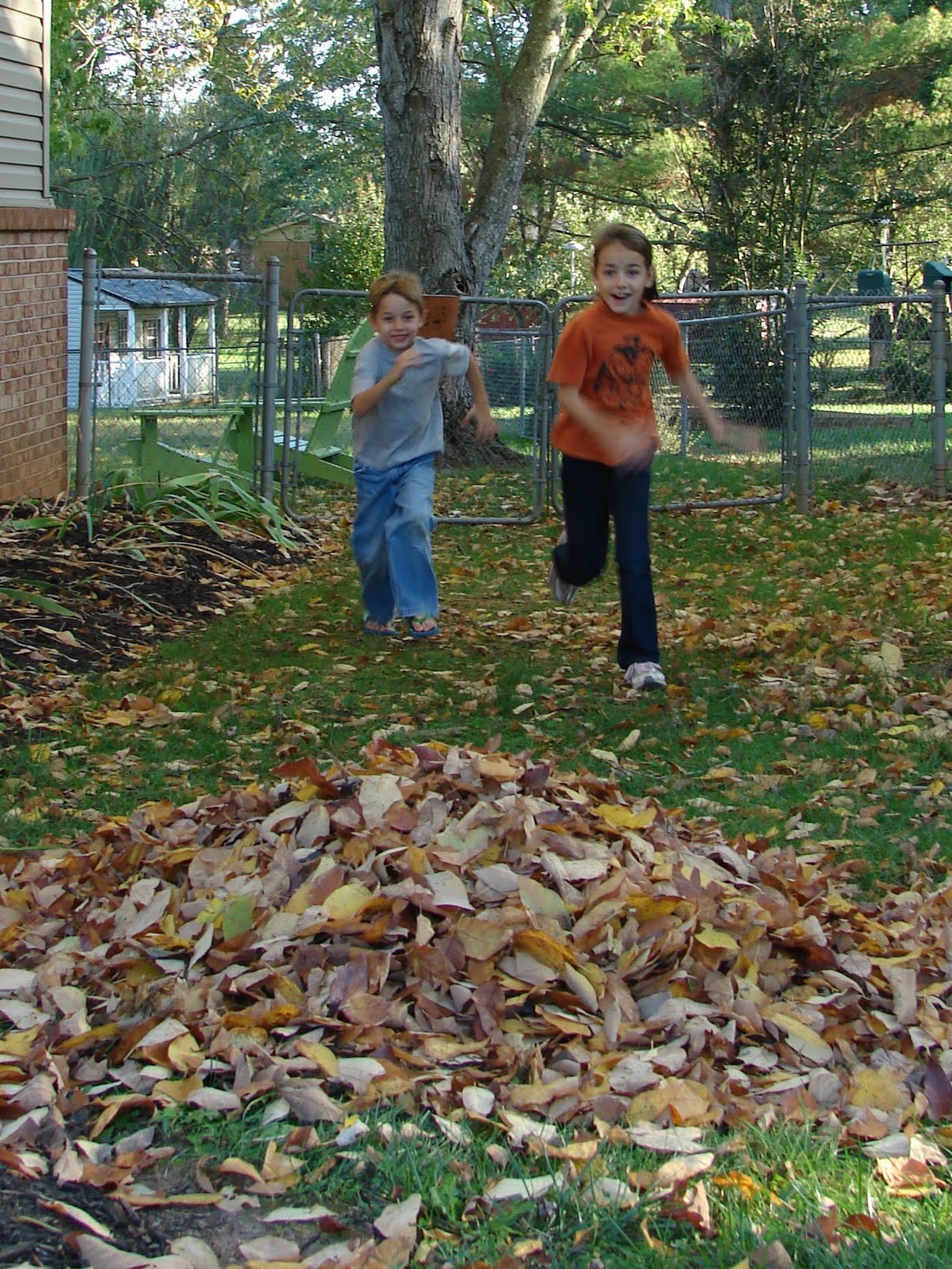 How to Jump in a Leaf Pile