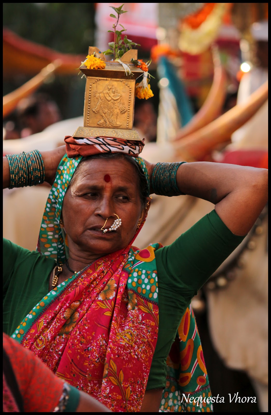 Wondering Wanderer: Waari: Facts and Fotos