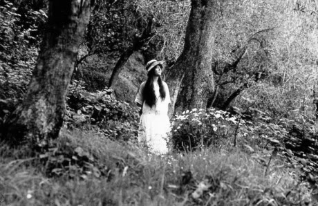 The Stumbling Pundit: Tess of the D'Urbervilles