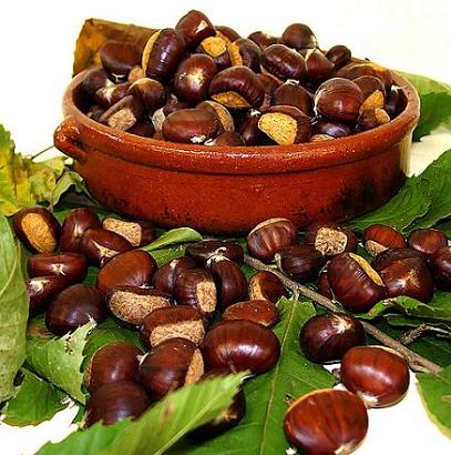 Marc Castellvi: Castañas