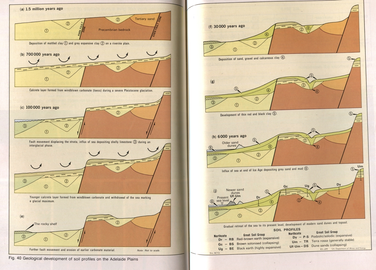 d r i n k s t e r: LEARNING YOUR ADELAIDE PLAINS