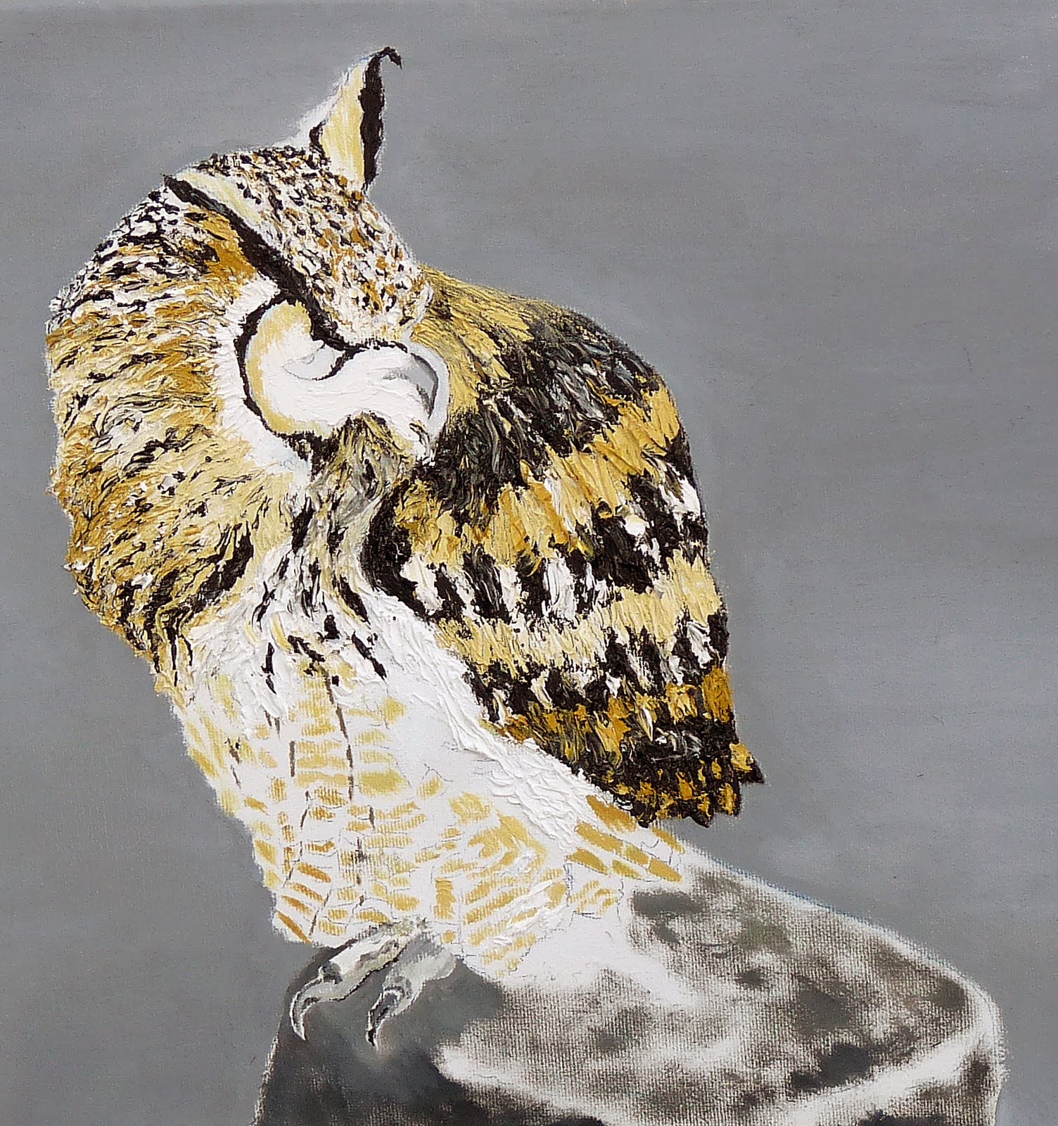 Wild and Wonderful: Beautiful Birds (28): Of Owls and Corvids