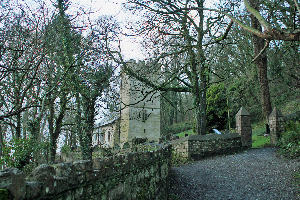 Gower Wildlife: Yews within the Parish Churches of Gower
