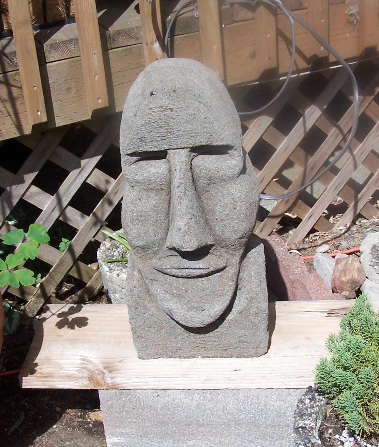 say it with Cement: Hypertufa, Art and objects for the Garden