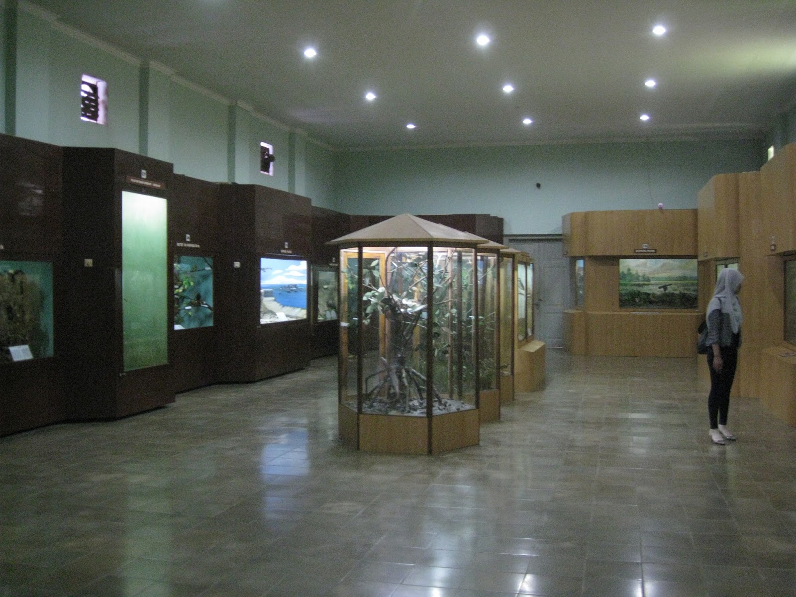 Letsgo2museum: Museum Zoologi Bogor