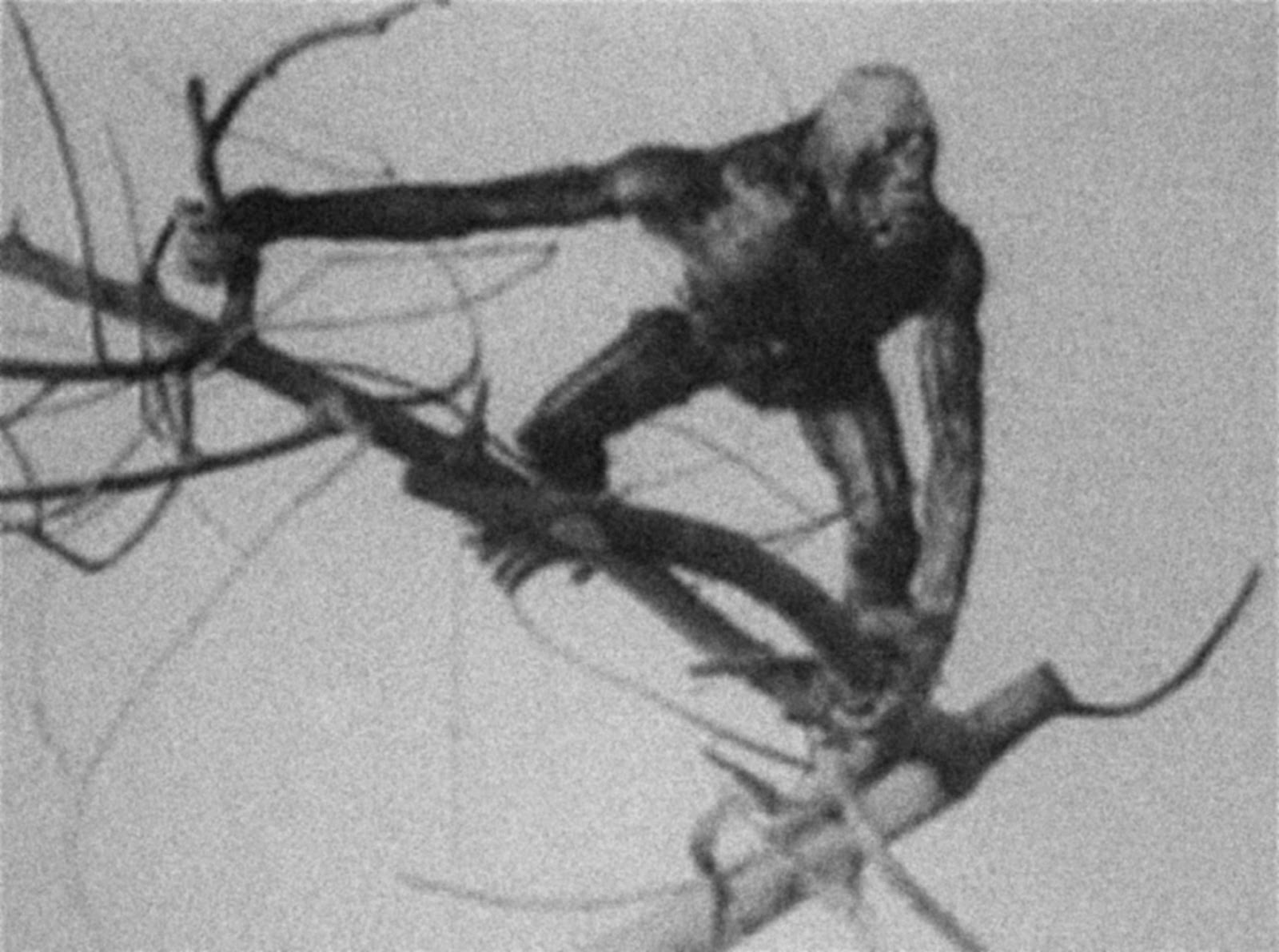 MISSING LINK - group show: ABOUT