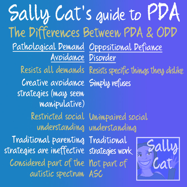 Sally Cat PDA: Memes About Diagnosis