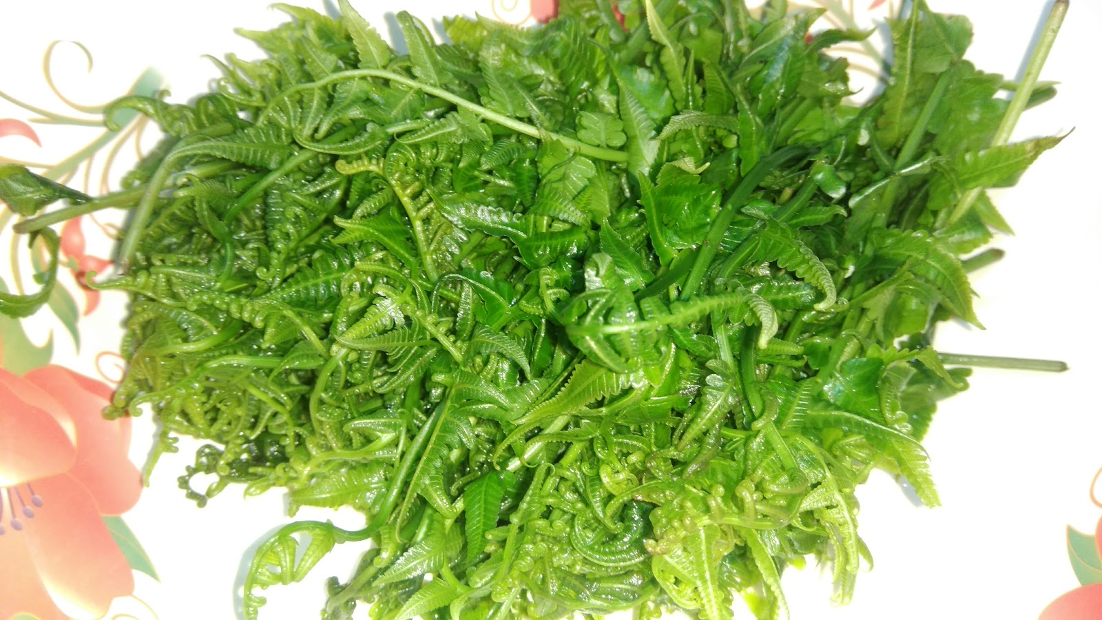 ধেকীয়া শাক dhekia leafy leafy vegetables ~ Daily Assam