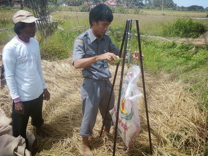 Jual Alat Ubinan Padi - Alat Ubinan Padi