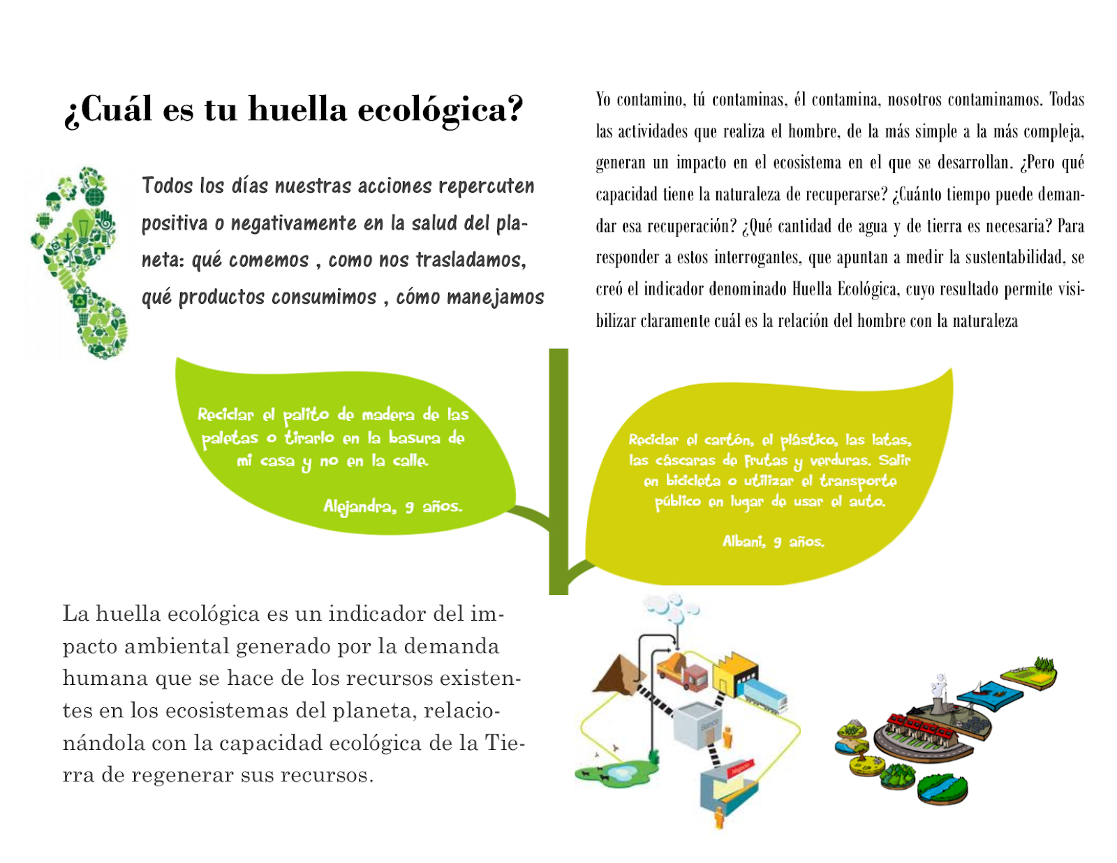 Huella ecológica