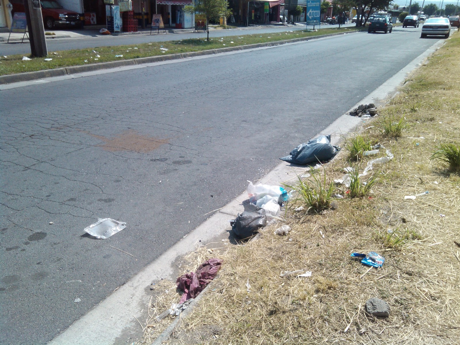 La Verdad de Tlajomulco: Otra vez las calles sucias