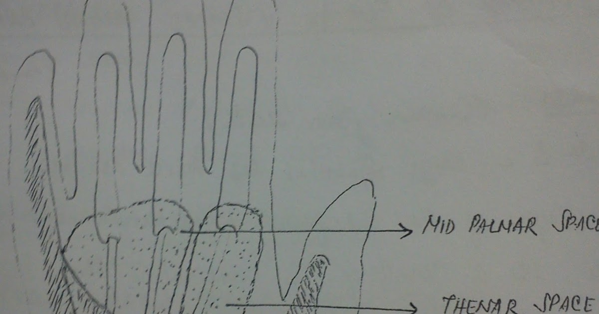 bijopaul: ANATOMY OF BURSAE AND SPACES IN HAND