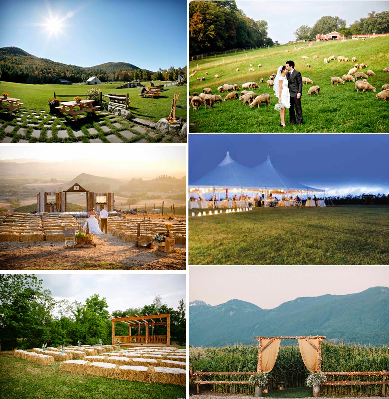 prom dress: Best ideas for a farm wedding