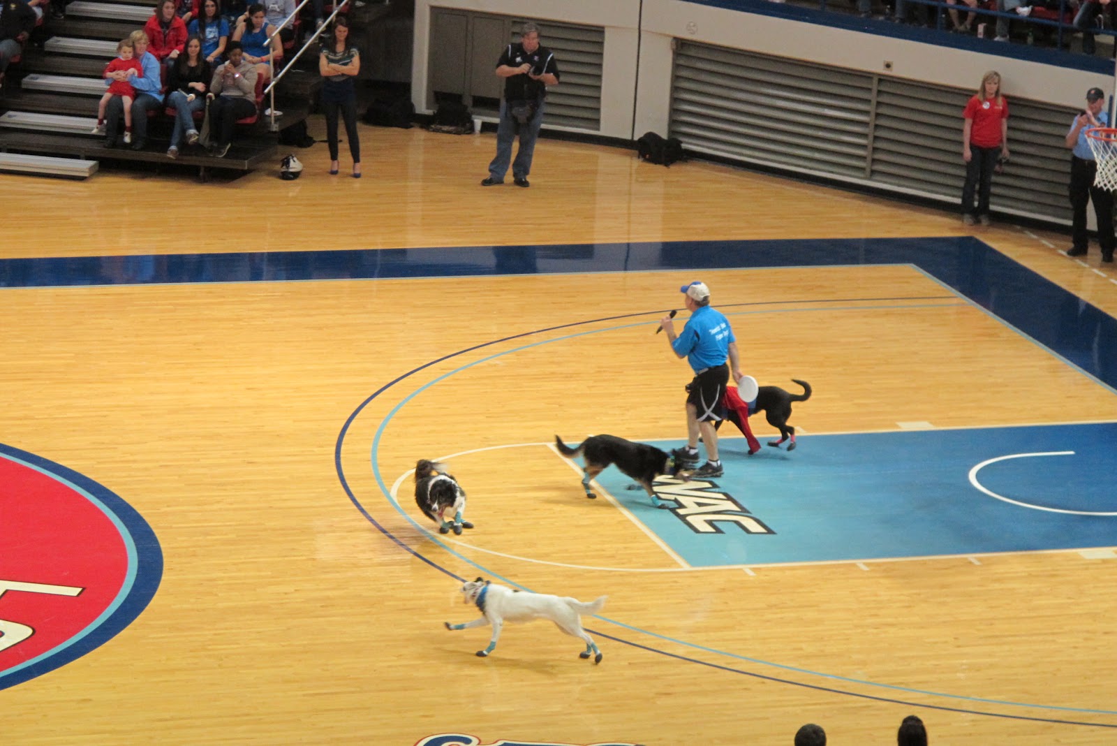 PrunePicker: Pack the gym night. Techsters vs Fresno State.