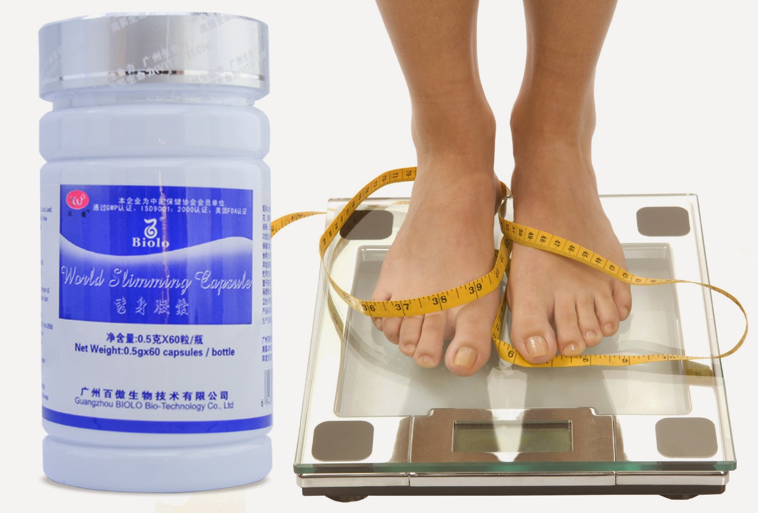 JUAL WSC BIOLO ORIGINAL ASLI Obat Diet - produk kosmetik cantik alami