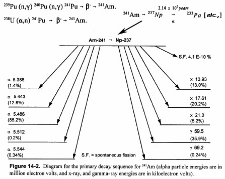 My Σlegant Universe: Americium-241 as Gamma Ray Source