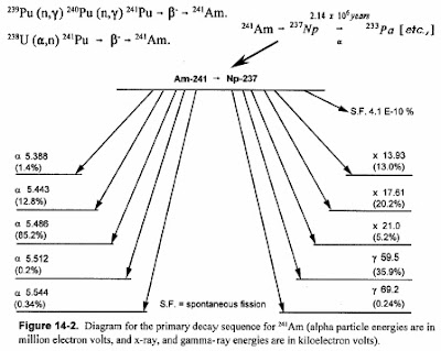 My Σlegant Universe: Americium-241 as Gamma Ray Source