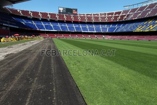 Barcelona FC: Grass: from the Camp Nou to the Miniestad